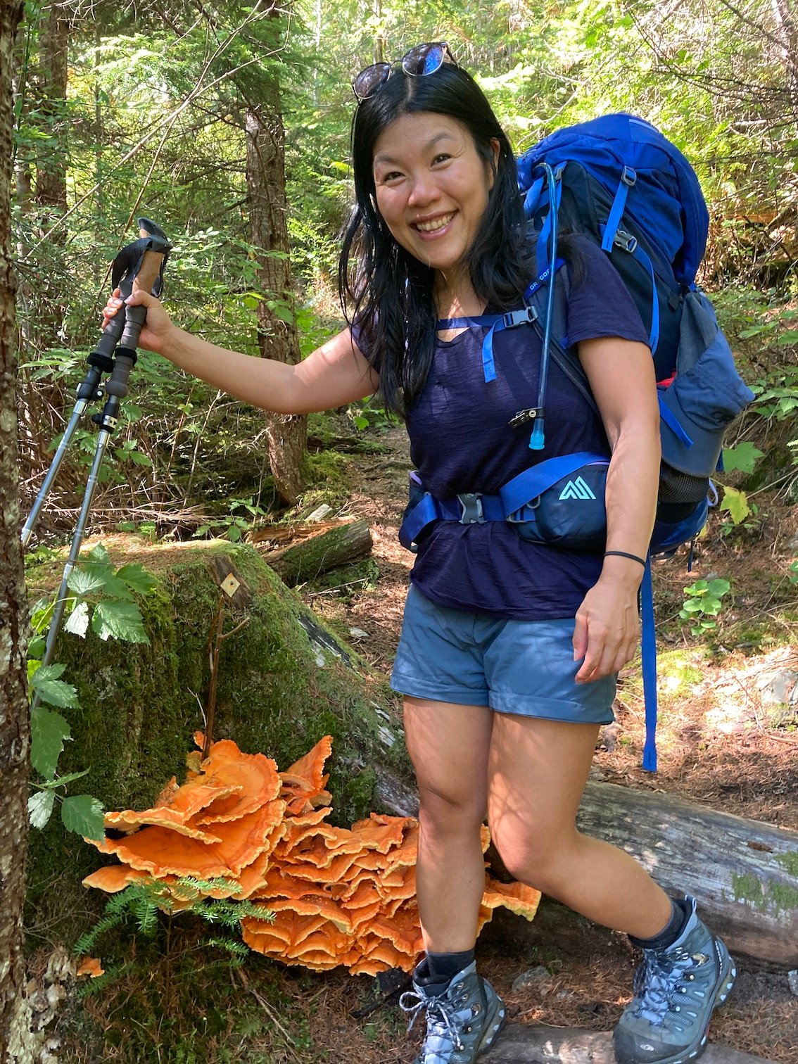 Sunshine Coast Trail: Three-day hike beginning and ending at Saltery ...