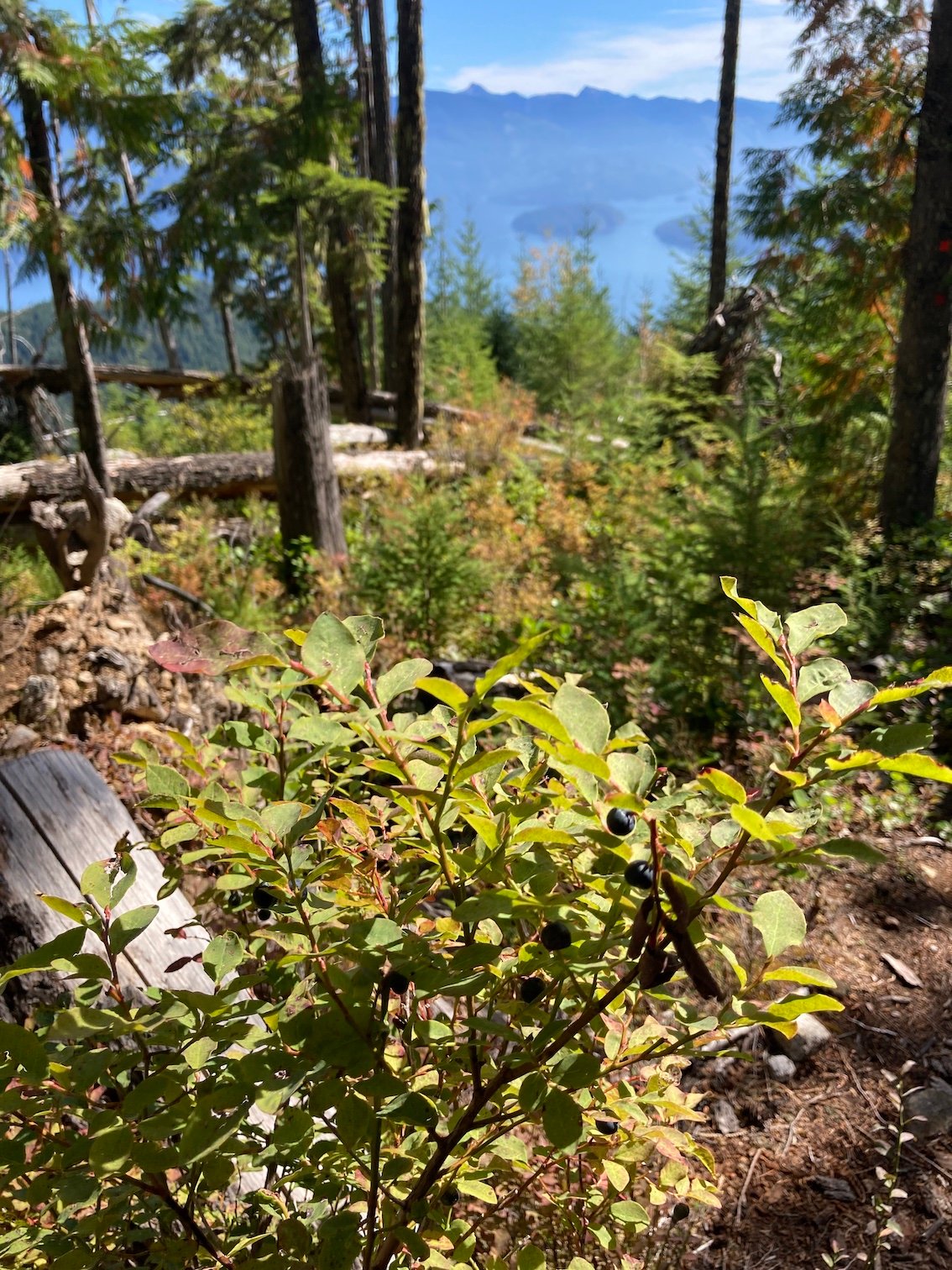Sunshine Coast Trail: Three-day hike beginning and ending at Saltery ...